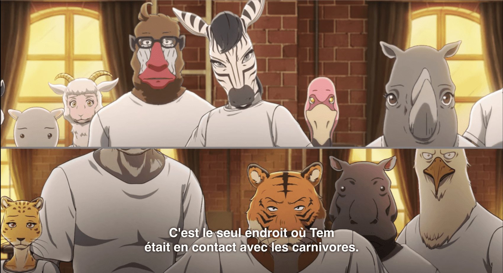 Review-Beastars – club – Katsuuu